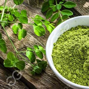 How To Make Moringa Powder?