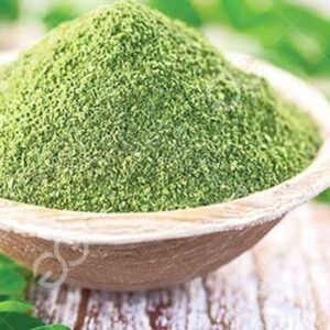 What Is The Best Drying Method For Moringa Leaves In Plant?