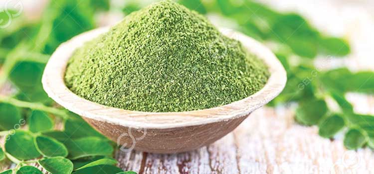 How To Make Moringa Powder?