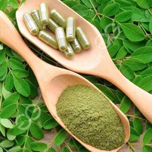 What Is The Best Drying Method For Moringa Leaves In Plant?