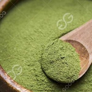 What Is The Best Drying Method For Moringa Leaves In Plant?