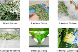 Moringa Juice Processing Machine